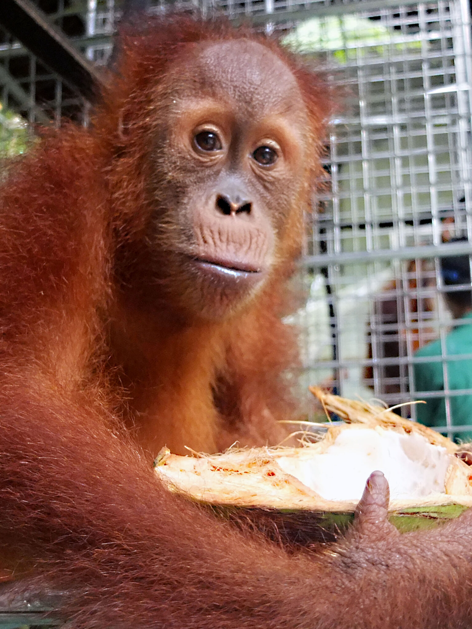 Patenschaften – Paneco