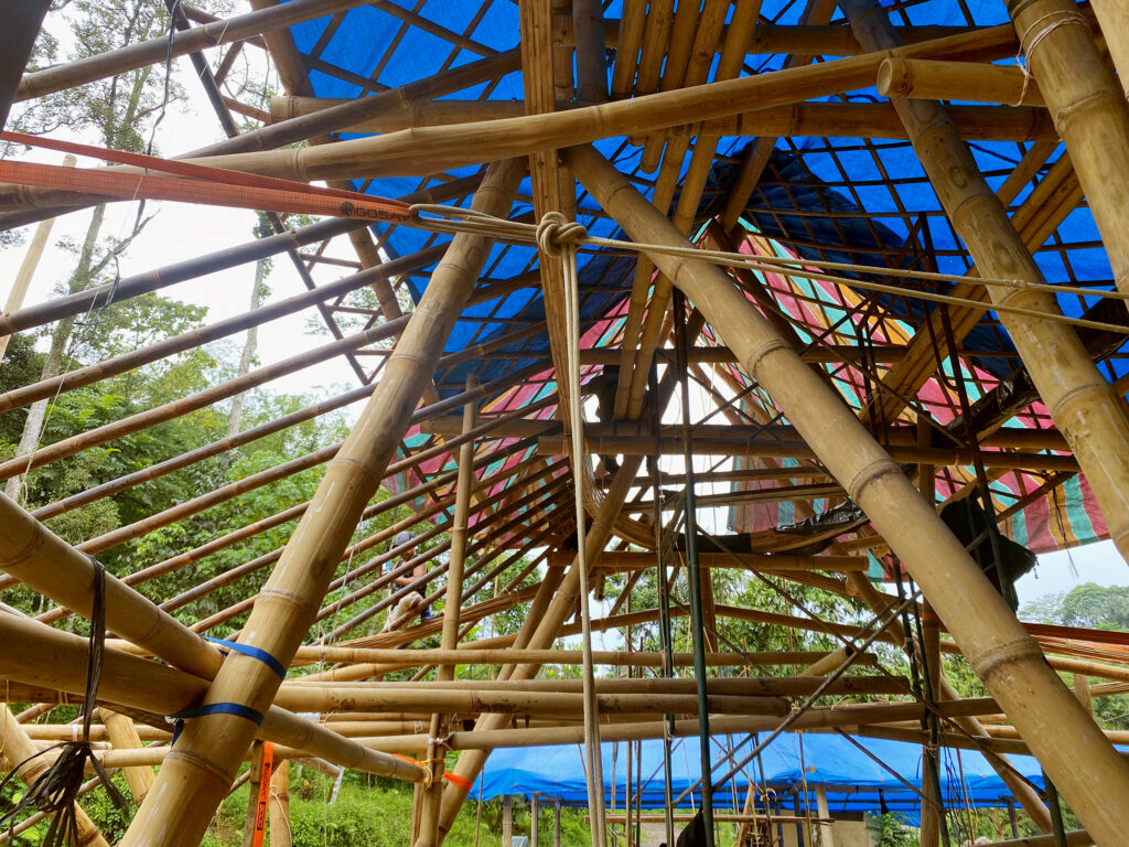 Bamboo – sustainable building material – Paneco
